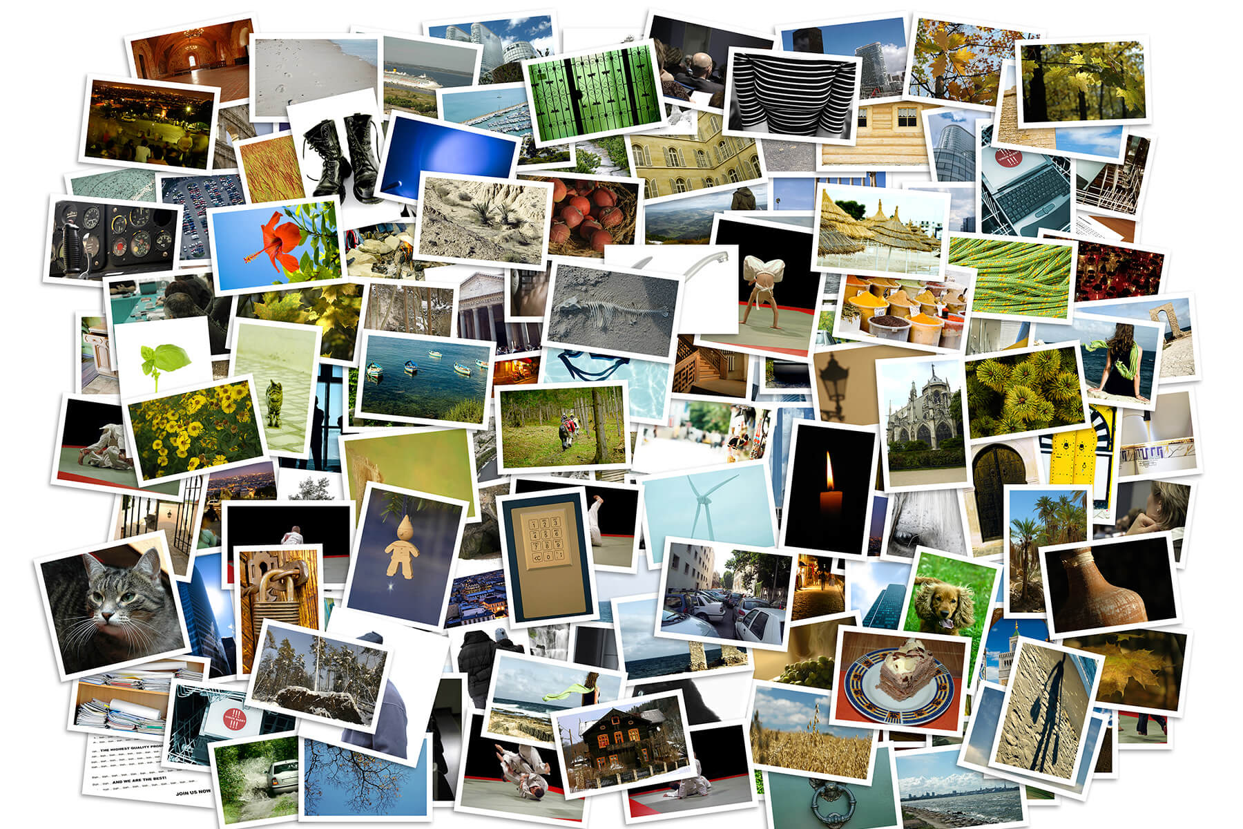 Declutter and organise photos with Peter Walsh