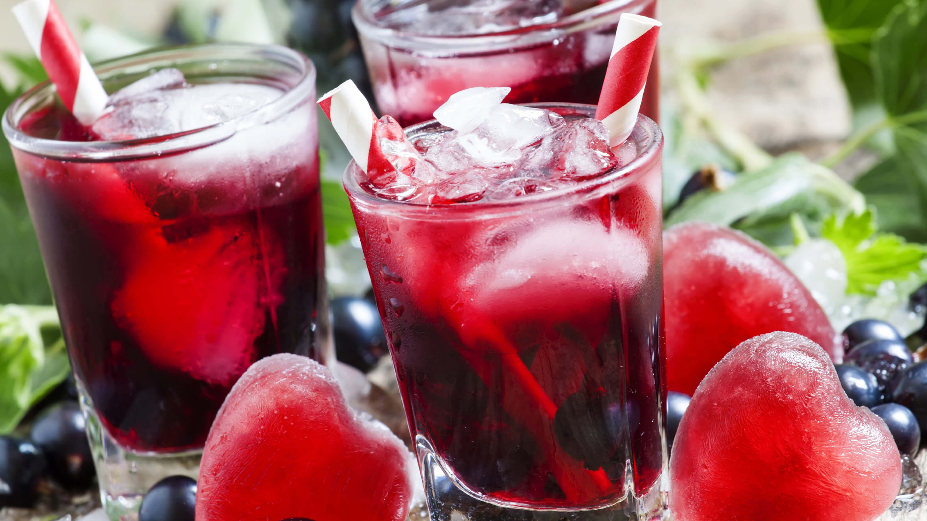 Homemade summer cordial